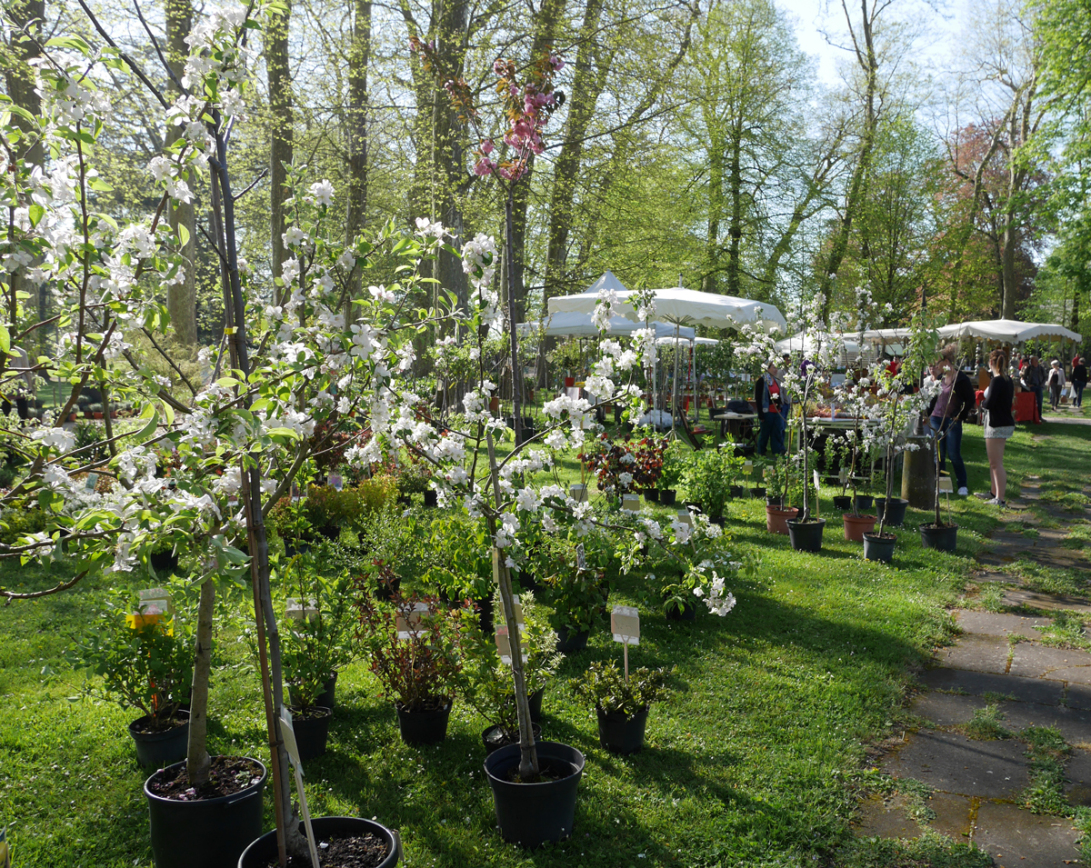 Le plein de nature à RANDANPLANTS - A l’eau de Vichy